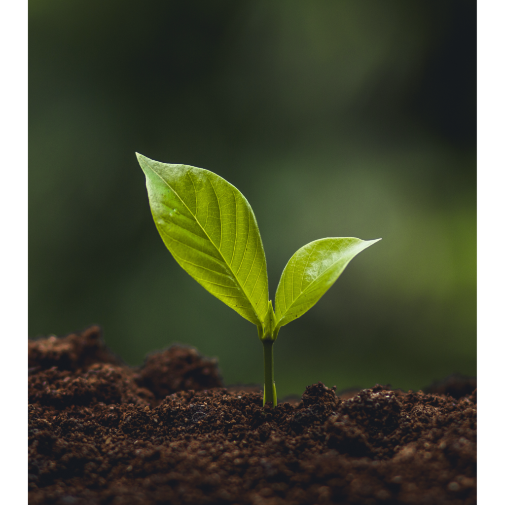 Sustainability Page – Fuluxe, Partner for Hotel & Restaurant Refinement ...